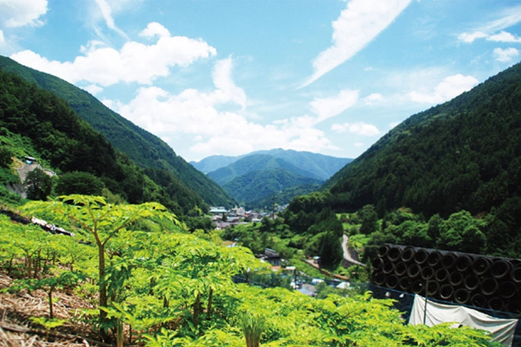 山梨県小菅村のキャンプ場全4スポットを解説 キャンプアウトドア情報メディアhinata