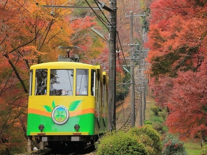 高尾山で紅葉を見るなら外せないおすすめ絶景スポットを紹介 キャンプアウトドア情報メディアhinata